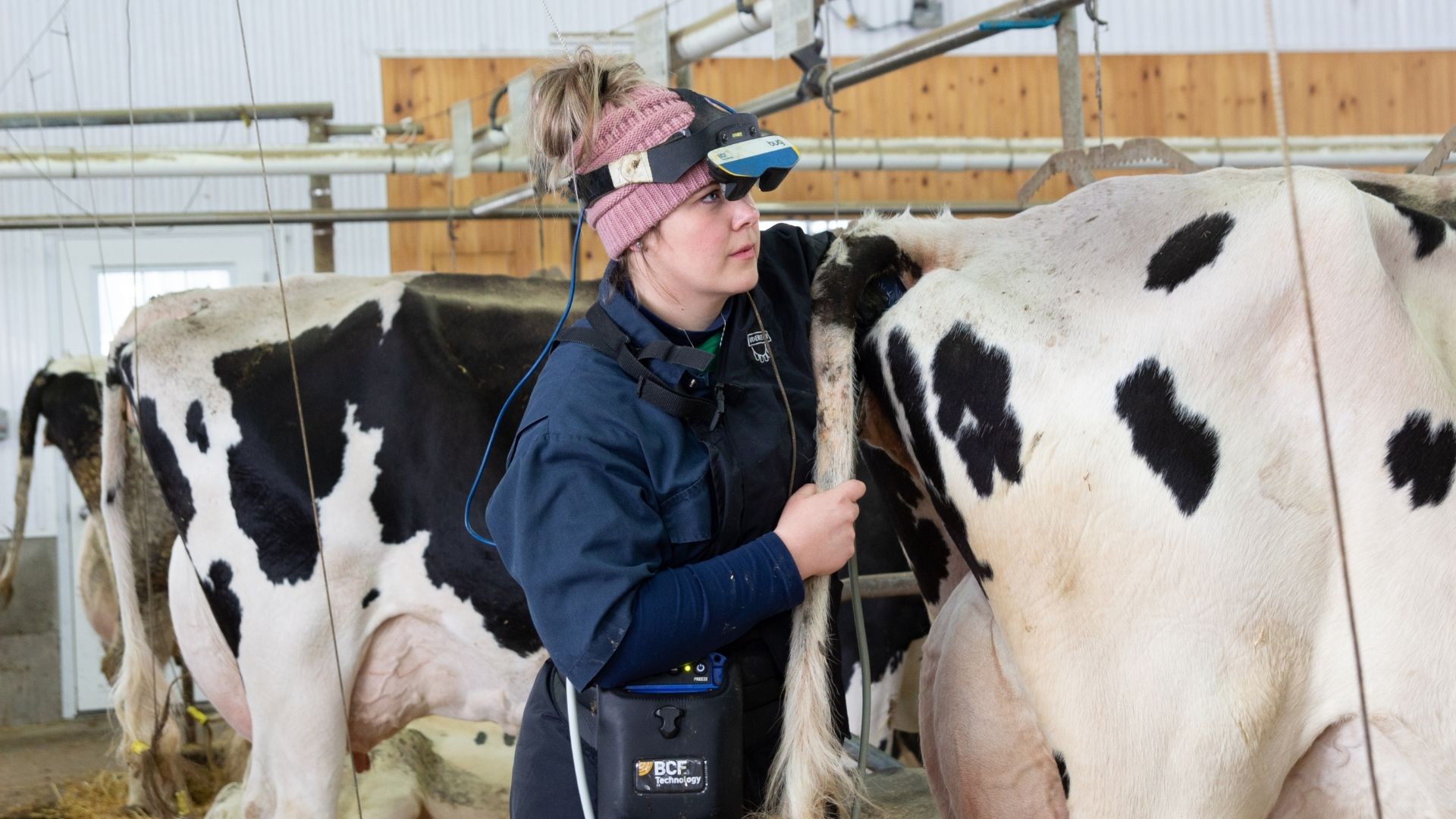 Large Animal Services Ontario | Heartland Animal Hospital